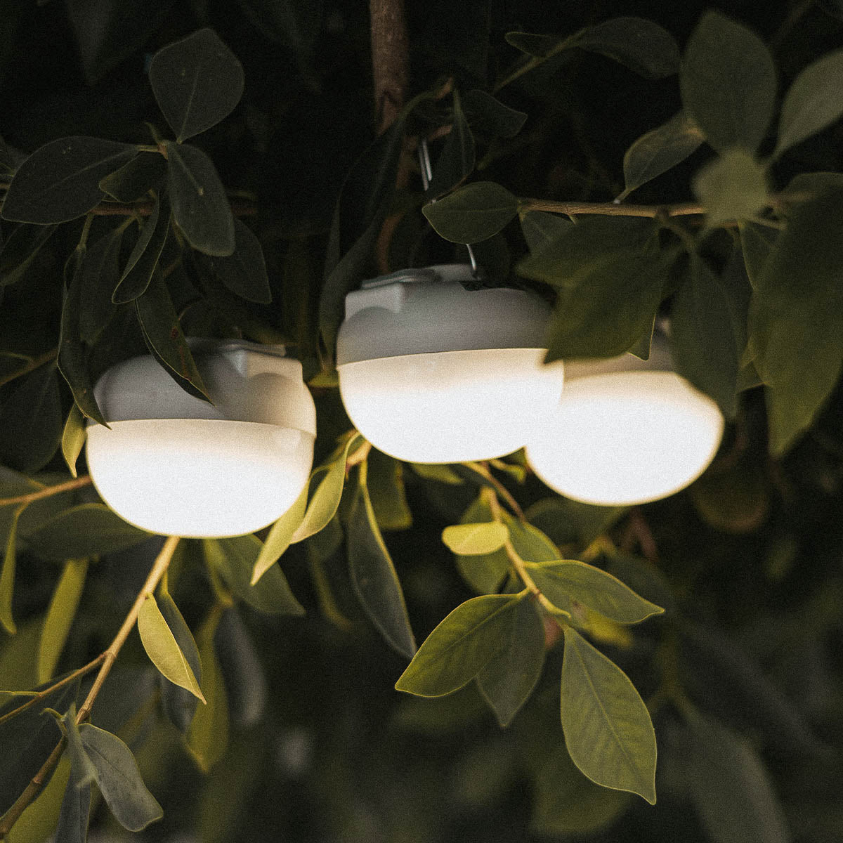 Cherry Mini Portable Rechargeable Bulb (Pack 3 Bulbs) – Newgarden Shop EU