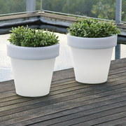 Large Pot With Light Magnolia 80Cm | Newgarden® – Newgarden Shop EU